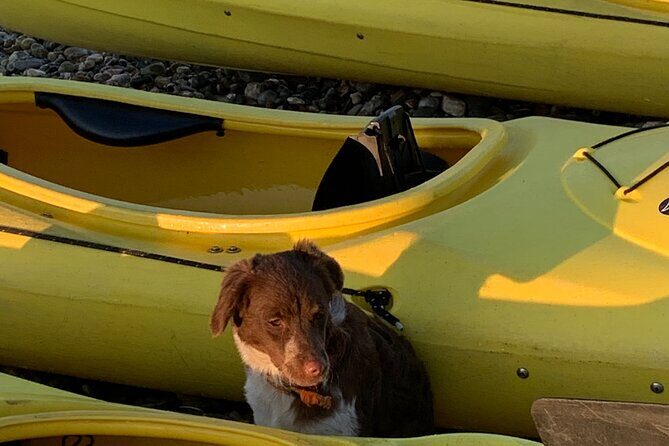 Rhodes Sea Kayaking Adventure small groups incl.Transfer & snack - Final Thoughts