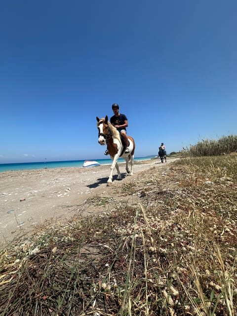 Rhodes: Seaside Horseback Riding Experience - What to Expect from Your Seaside Ride in Rhodes