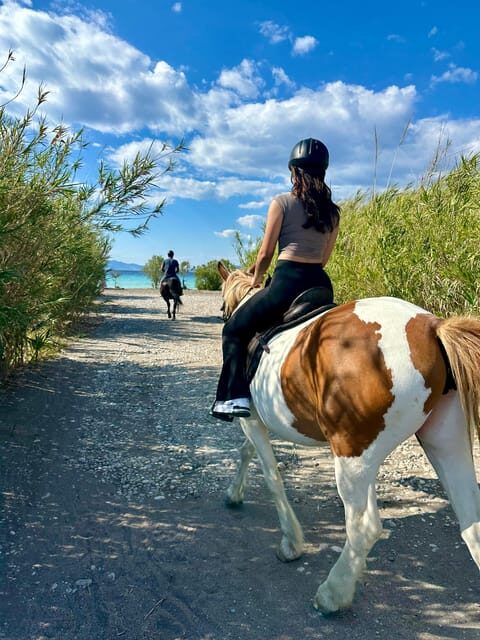 Rhodes: Seaside Horseback Riding Experience - The Sum Up: Is This Tour for You?