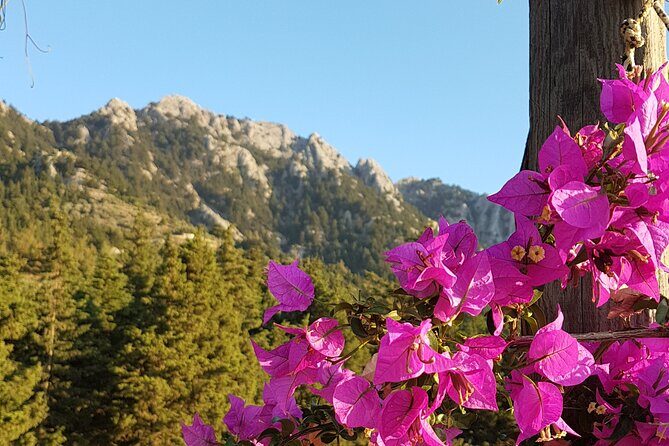 Rhodes Self Drive 4x4 Offroad Adventure with Gourmet Lunch - The Sum Up