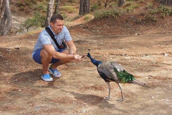 Rhodes Self Drive 4x4 Wilderness Expedition & Traditional Lunch - Final Thoughts