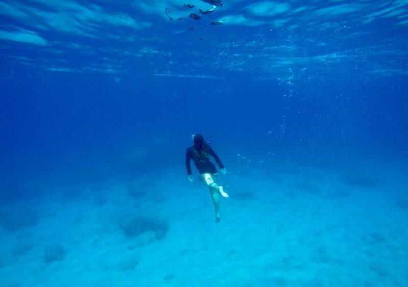 Rhodes: Stand-Up Paddleboard and Snorkeling Tour - The Value Proposition