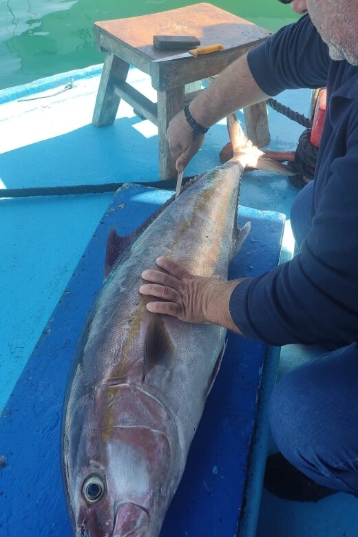 Rhodes Town: Fishing Boat Trip with Fish Meal and Swim Stops - Final Thoughts