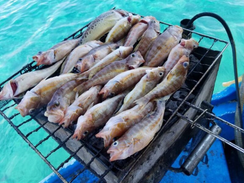 Rhodes Town: Fishing Boat Trip with Fish Meal and Swim Stops - FAQ