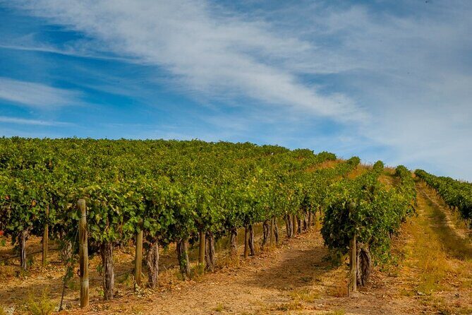 Rhodes Wine & Food Tour: 10 Meal Course Lunch, Wine Tasting, Cooking Class - FAQ