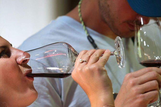 Rhodes:Kamiros,Kritinia,Embona,Mt Profitis Ilias & Kallithea tour - Who Should Consider This Tour?