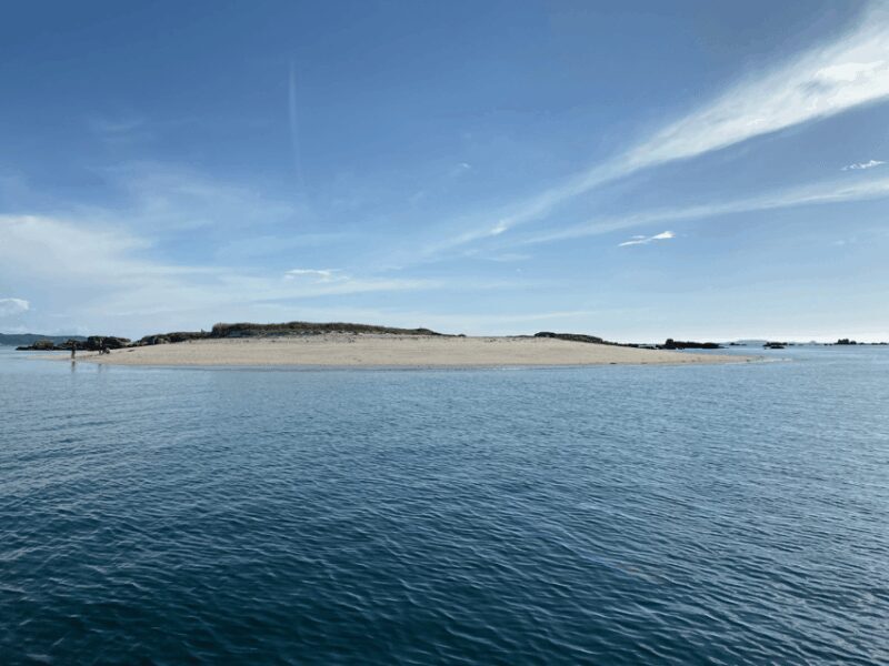 Ría de Arousa: Daytime or Sunset Sailboat Cruise with drinks - Key Points