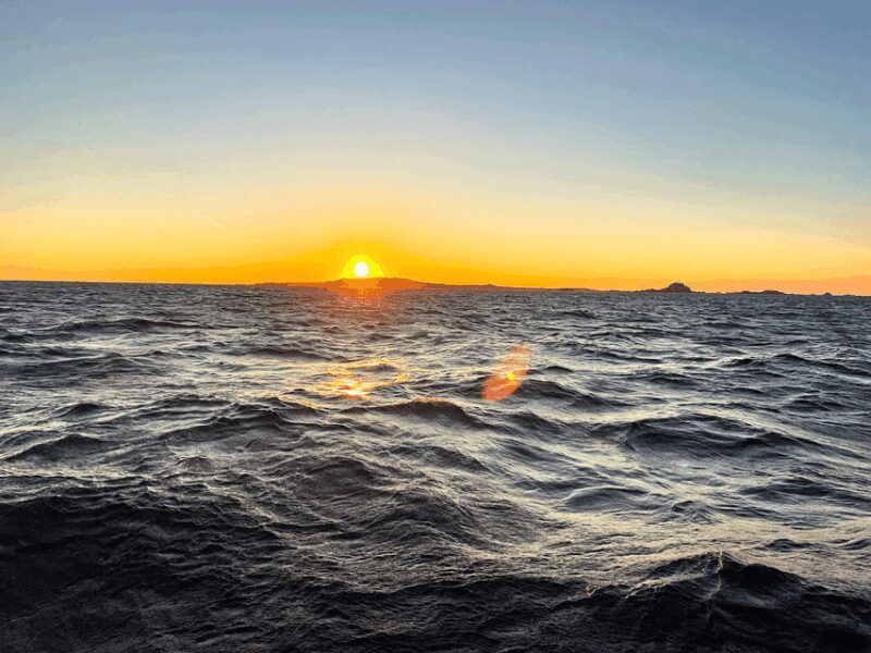 Ría de Arousa: Daytime or Sunset Sailboat Cruise with drinks - Scenic Passages and Additional Stops