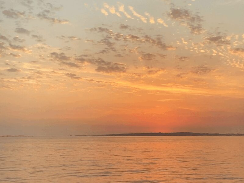 Ría de Arousa: Daytime or Sunset Sailboat Cruise with drinks - Who Will Love It