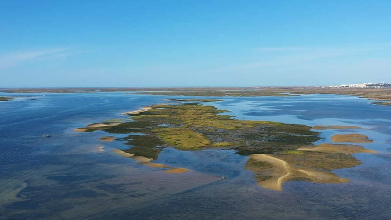Ria Formosa: Armona and Culatra Islands 3-Hour Boat Tour - A Deep Dive into the Ria Formosa Experience