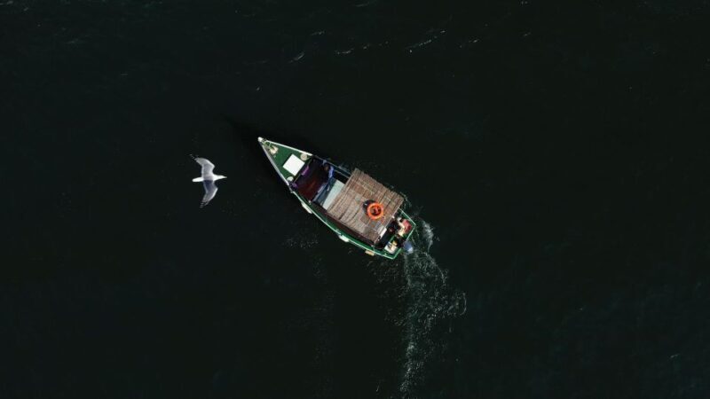 Ria Formosa: Armona and Culatra Islands 3-Hour Boat Tour - The Sum Up