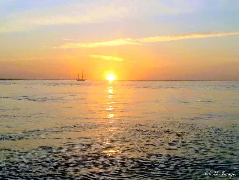 Ria Formosa Bout Tour with sunset - Olhão - Practical Details and Value