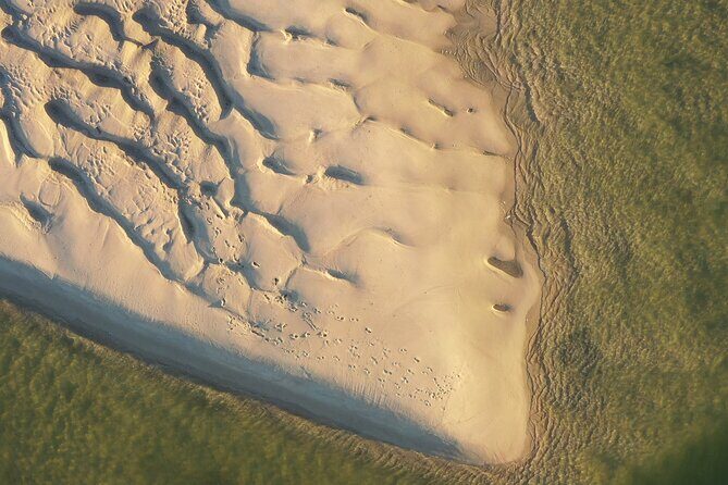 Ria Formosa & Ilhas: Private Tour for Two or in Group - Who Is This Tour Best For?