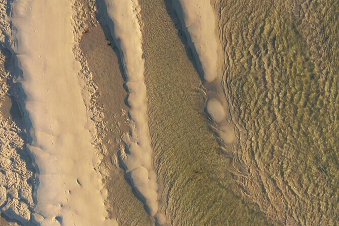 Ria Formosa & Ilhas: Private Tour for Two or in Group - The Sum Up