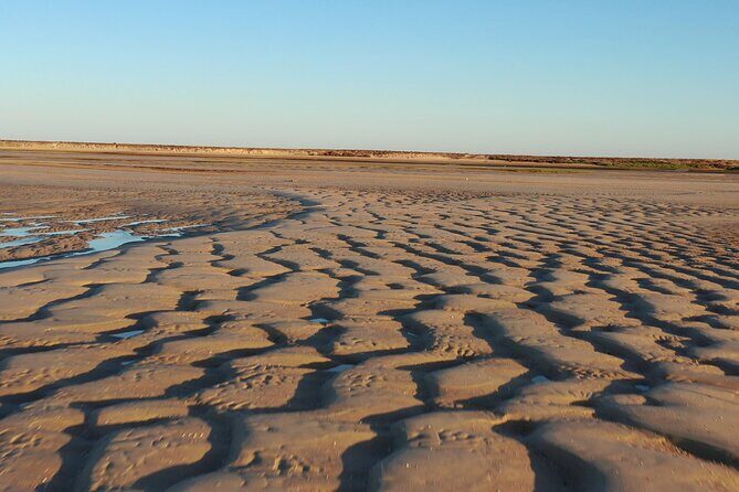 Ria Formosa & Islands : 2h00 Private Tour of Ria Formosa - The Sum Up