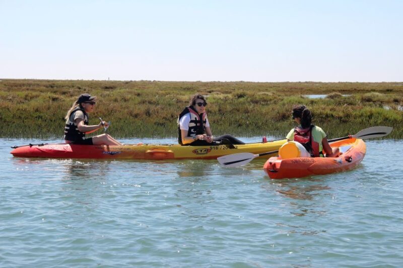 Ria Formosa National Park: Kayak Trip - Practical Tips for Your Kayaking Adventure