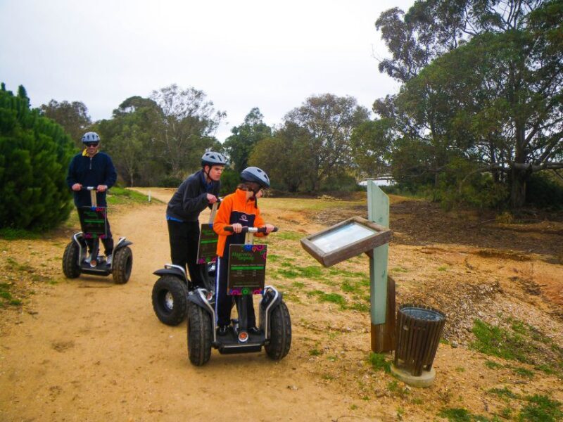 Ria Formosa National Park Segway Tour & Seafood Lunch - The Scenic Trails and Wildlife