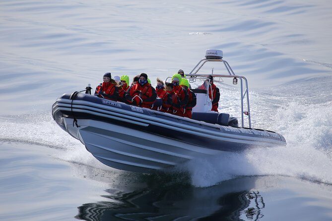 RIB boat express: Whales, Eyjafjord and Akureyri - Who Should Book This Tour?