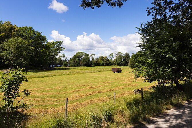 RIB Speed Boat Tour and Archipelago Island Visit (4,5h) - Final Thoughts