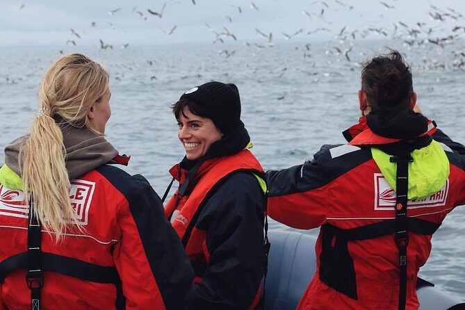 RIB Whale Watching Small-Group Boat Tour from Reykjavik - Detailed Breakdown of the Itinerary