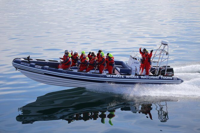 RIB Whale Watching Small-Group Boat Tour from Reykjavik - FAQ: Your Practical Questions Answered