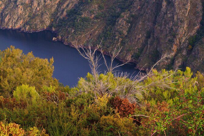 Ribeira Sacra by Boat and Ourense Tour from Santiago - Who Would Love This Experience?