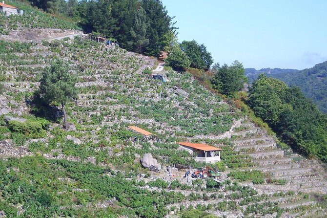 Ribeira Sacra From Lugo - Discovering Ribeira Sacra from Lugo: An In-Depth Review
