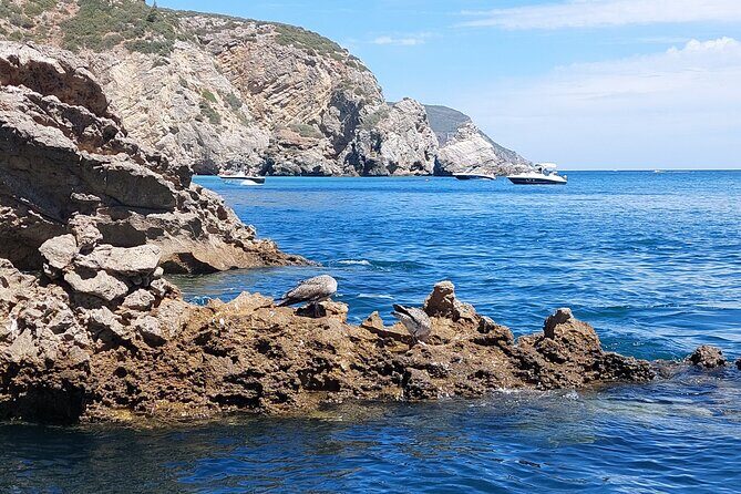 Ribeiro do Cavalo Beach Taxi Boat Transfer Round Trip - The Sum Up