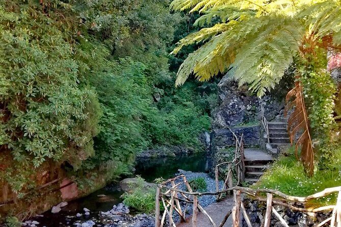 Ribeiro Frio - Portela - Exploring Madeira’s Laurissilva Forest: The Ribeiro Frio - Portela Tour Review