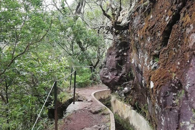 Ribeiro Frio - Portela - Transportation and Group Size