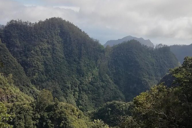 Ribeiro Frio - Portela - Price and Value