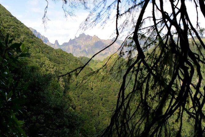 Ribeiro Frio - Portela - Who Will Love This Tour?