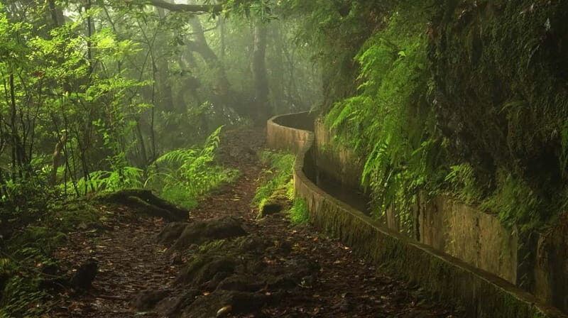 Ribeiro Frio / Portela Full day hike - Who Should Consider This Tour?