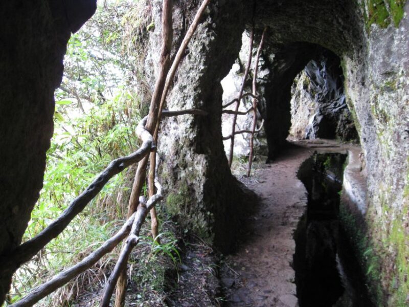 Ribeiro Frio / Portela - Levada Walk - What You Need to Know Before Booking