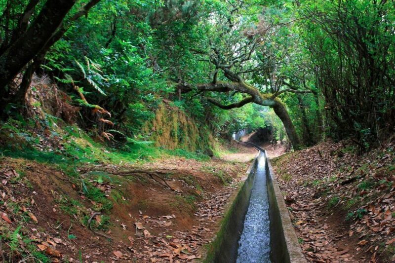 Ribeiro Frio / Portela - Levada Walk - Frequently Asked Questions