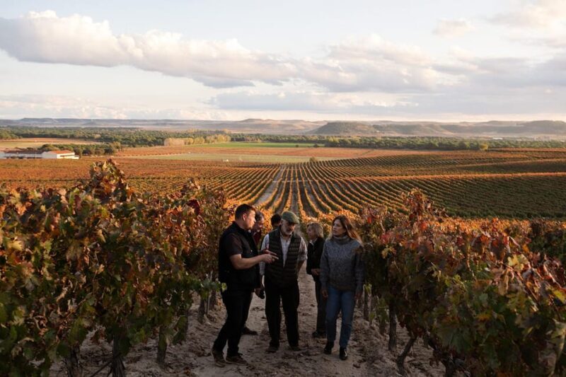 Ribera del Duero: Experience, vineyard, and 4x4 ride, plus an aperitif and tasting. - Key Points