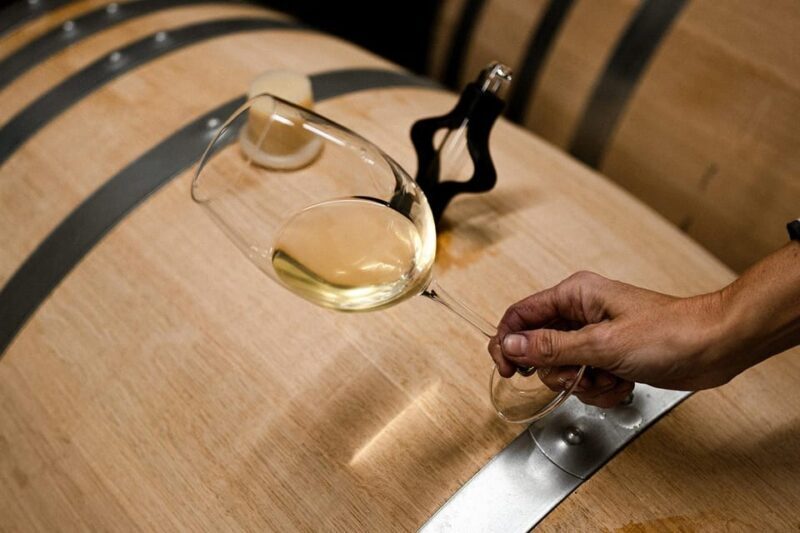 Ribera del Duero: Experience, vineyard, and 4x4 ride, plus an aperitif and tasting. - The Setting and Location