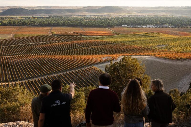 Ribera del Duero: Experience, vineyard, and 4x4 ride, plus an aperitif and tasting. - FAQ