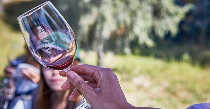 Ribera del Duero: Red Wine Discovery Tour with Tastings - Key Points