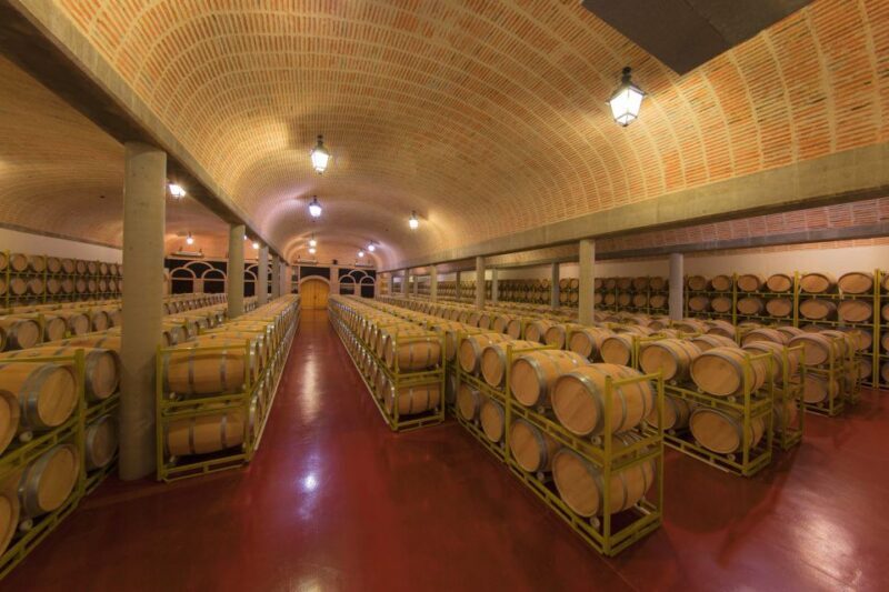 Ribera del Duero: Red Wine Discovery Tour with Tastings - Who Will Love This Tour?