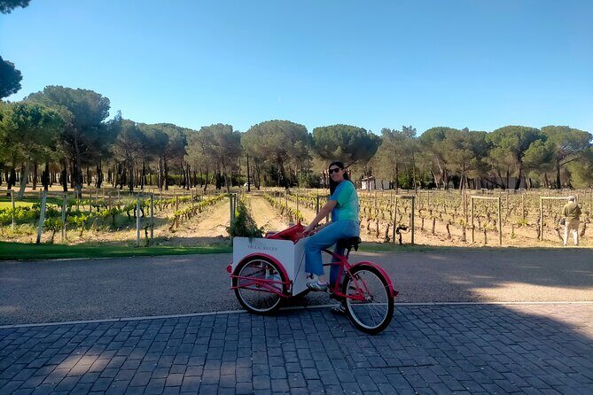 Ribera del Duero Tour: Three Wineries and Lunch from Madrid - A Deep Dive into the Ribera del Duero Tour