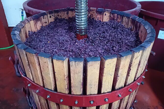 Ribera del Duero Tour: Three Wineries and Lunch from Madrid - Final Thoughts