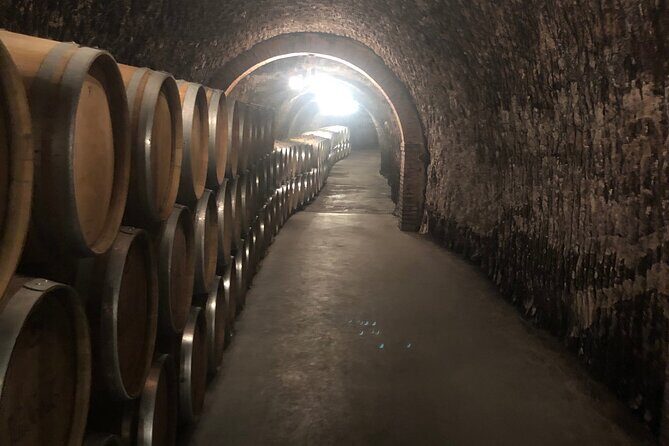 Ribera del Duero Wine Tour: Two Wineries and Tasting - Introduction: A Winery Adventure Close to Madrid