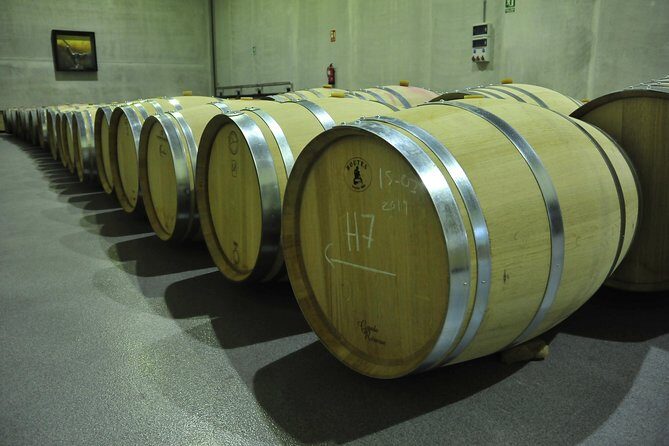 Ribera del Duero Wineries Guided Tour & Wine Tasting from Madrid - The Itinerary Breakdown: What You’ll Experience