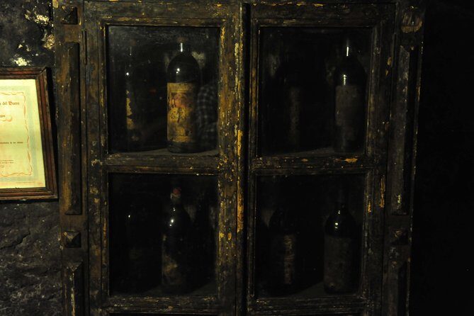 Ribera del Duero Wineries Guided Tour & Wine Tasting from Madrid - What Do the Reviews Say?