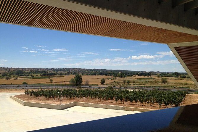Ribera del Duero Wineries Guided Tour & Wine Tasting from Madrid - FAQs