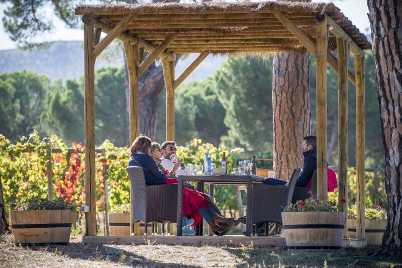 Ribera del Duero Winery Tour & Wine Tasting Near Valladolid - Final Thoughts