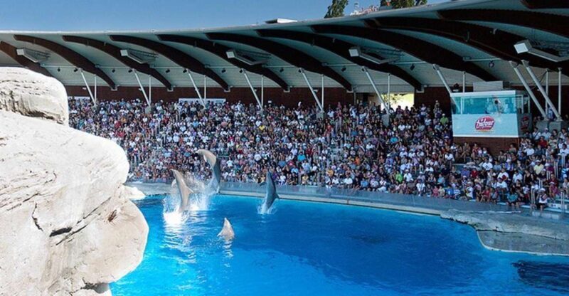 Riccione: Oltremare Park Entrance Ticket - Authentic Insights from Visitors