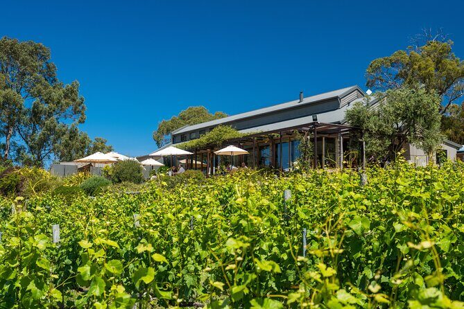 Richmond and Wine Tour - The Sum Up