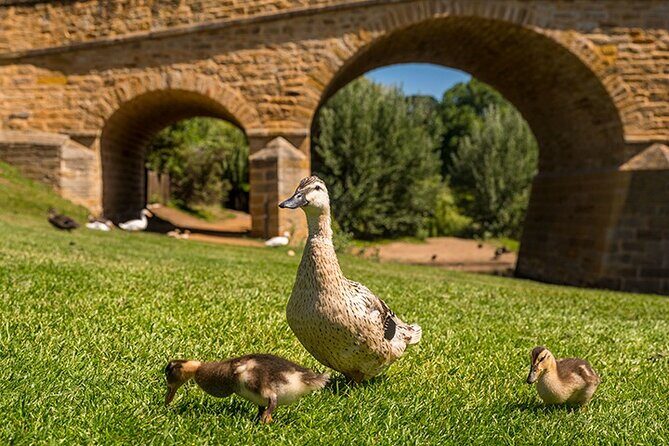 Richmond Historic Afternoon Tour from Hobart - Highlights from the Reviews